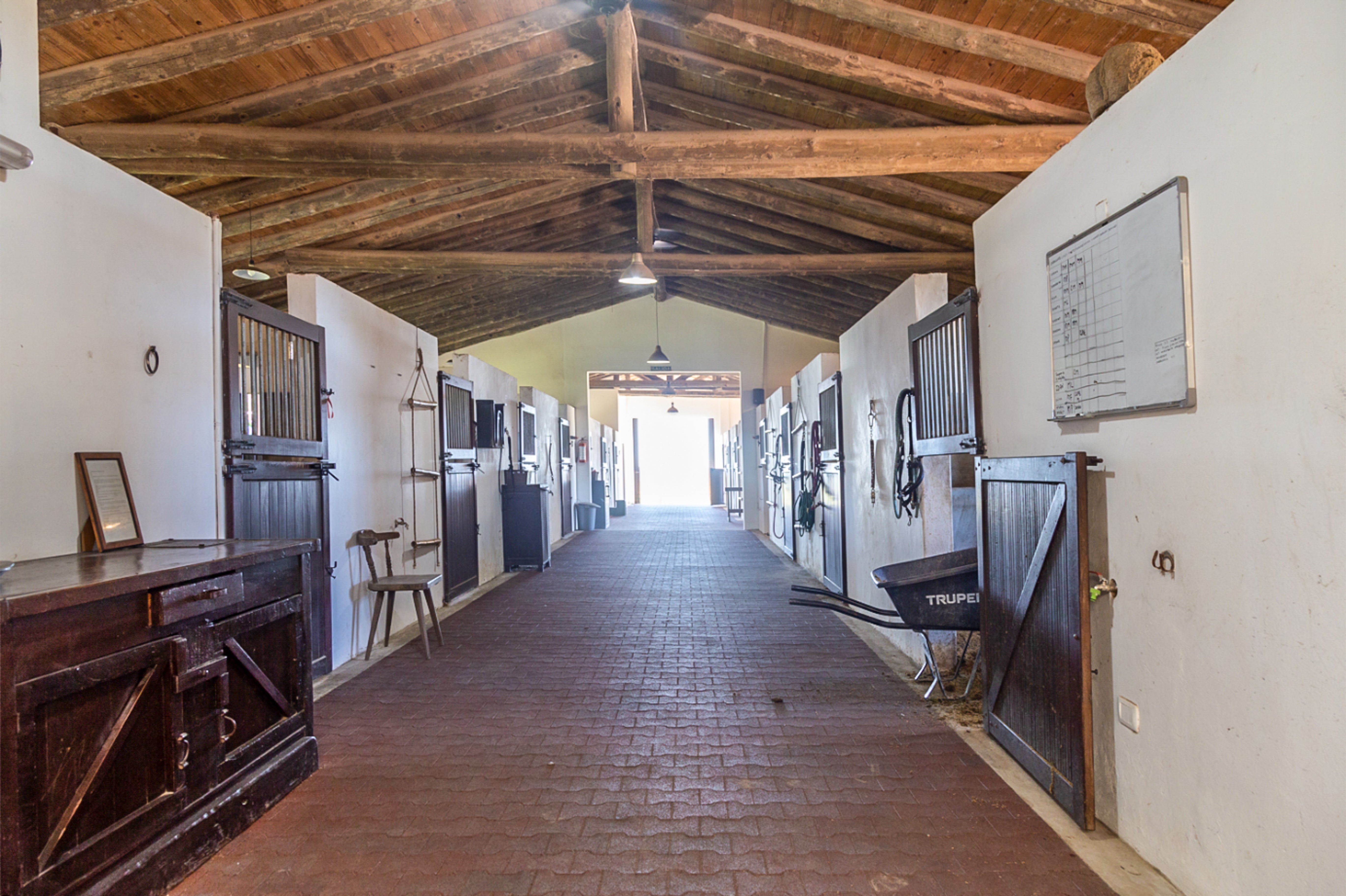 Haras Godiva - Cabalgatas, Dressage y Salto de Obstaculos. – HARAS GODIVA