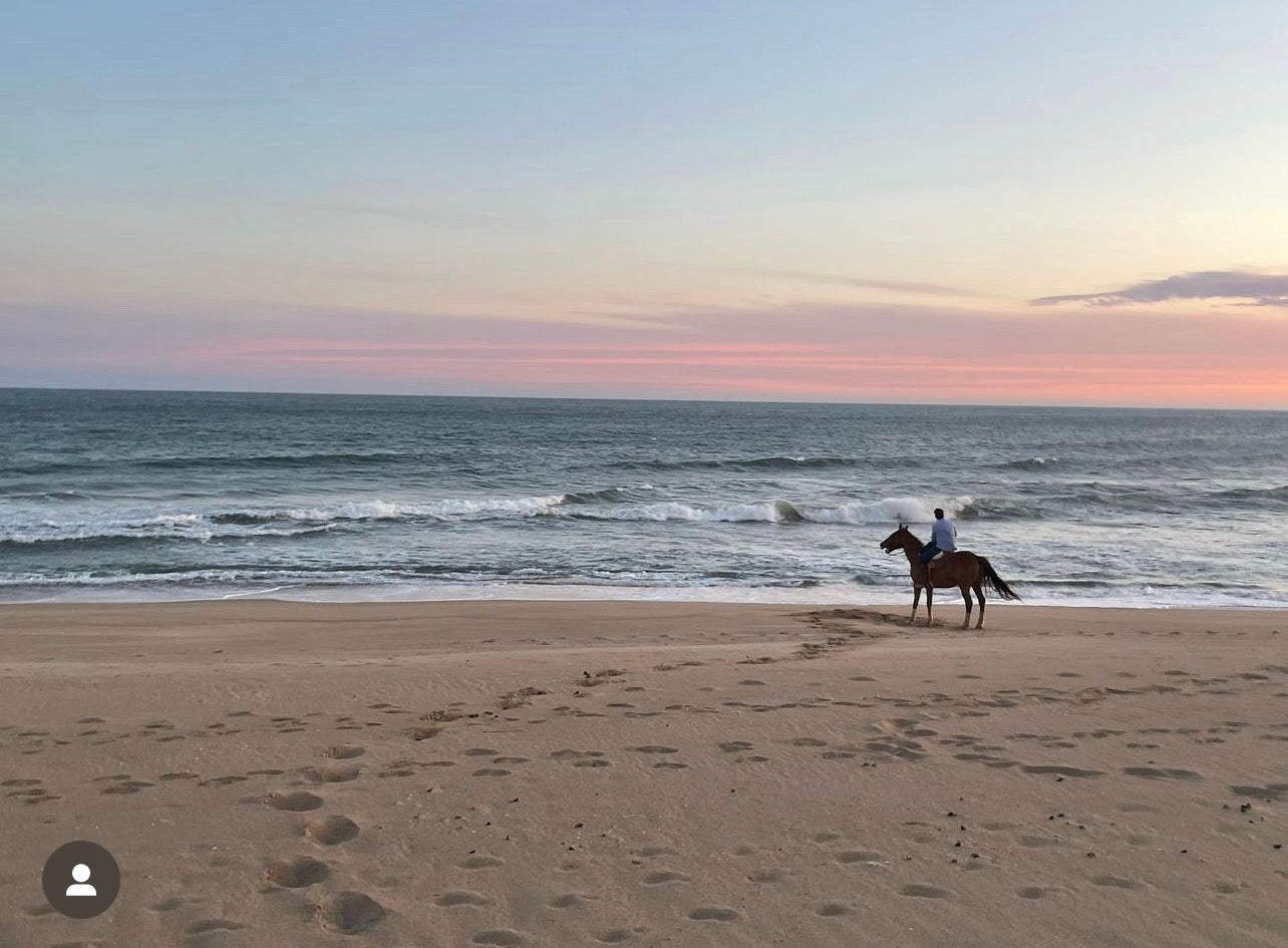 Beach Rides – HARAS GODIVA