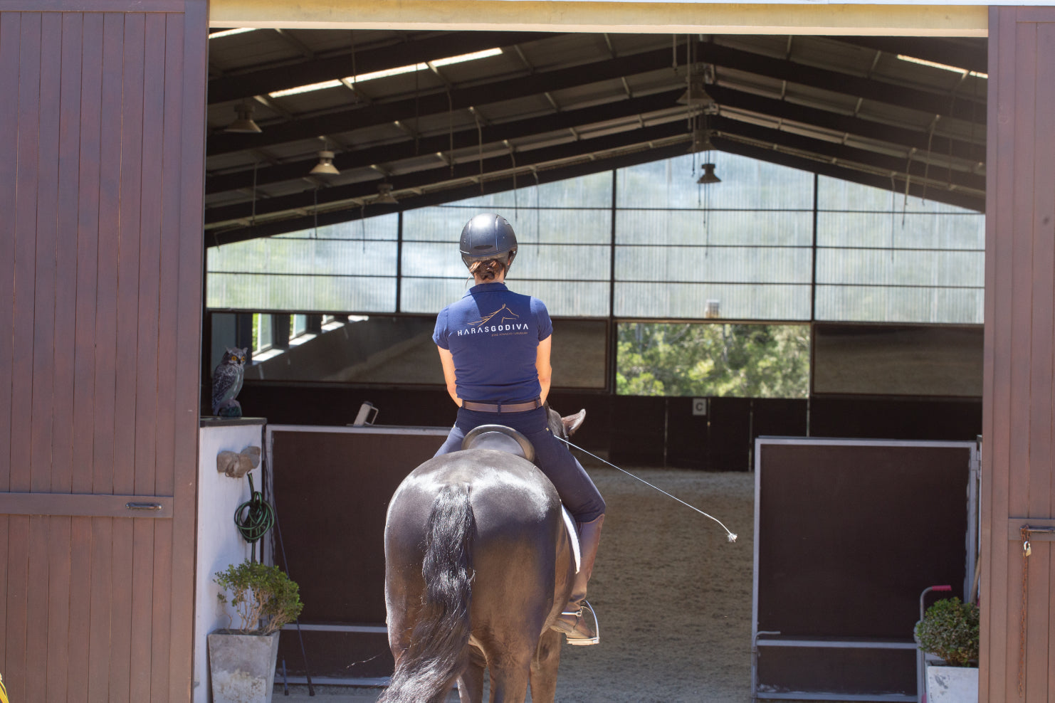 Haras Godiva - Cabalgatas, Dressage y Salto de Obstaculos. – HARAS GODIVA