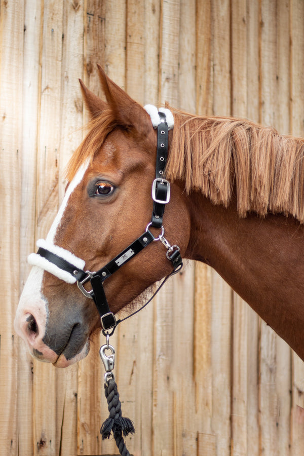 Horse Halter 100% cow leather and sheepskin leather – HARAS GODIVA